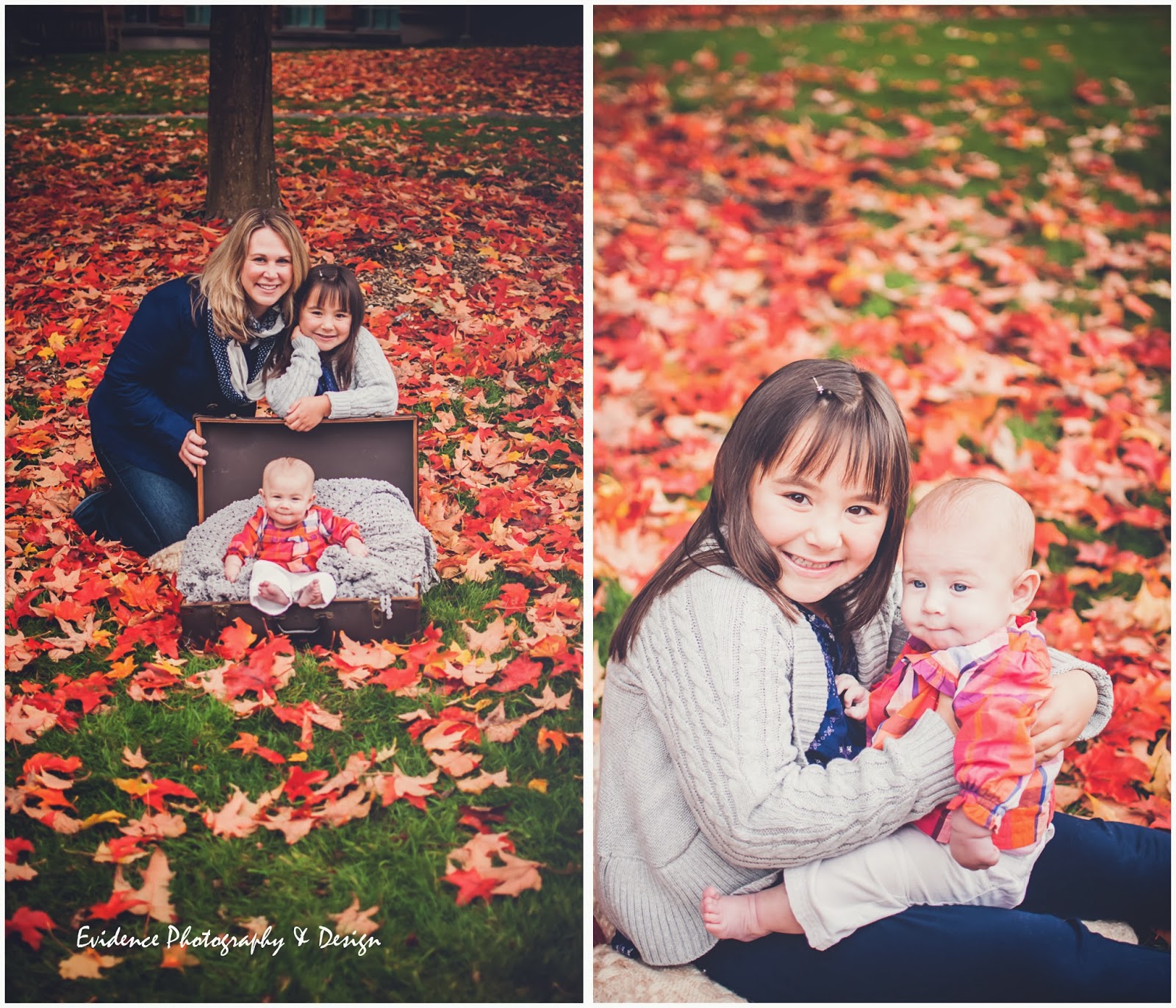 The perfect fall family tree...