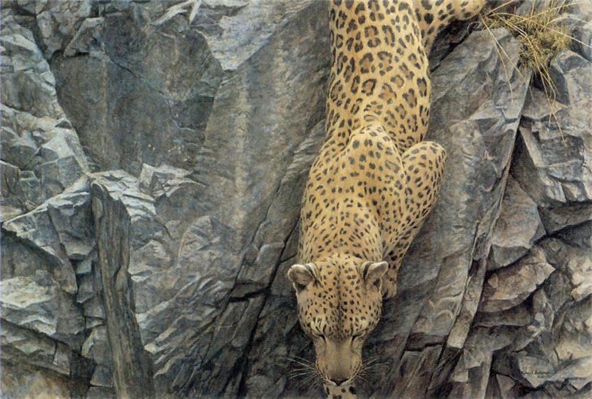 Artodyssey: Robert Bateman