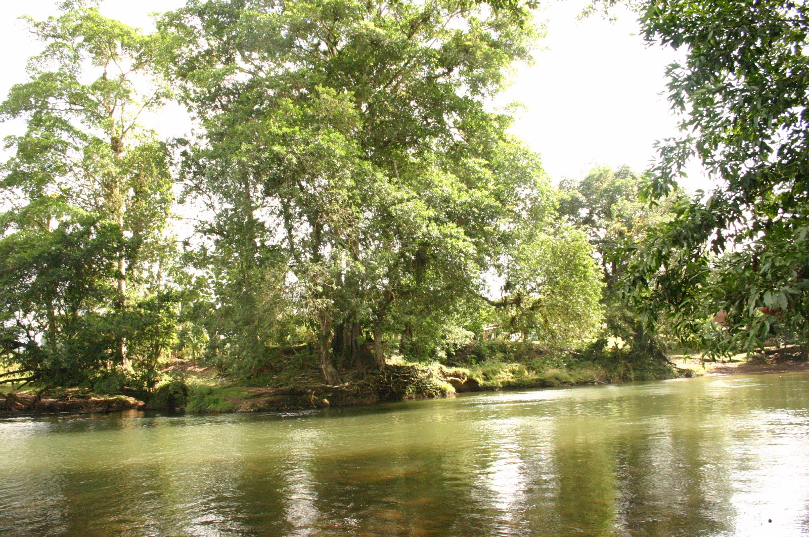 Amanda Abroad: Rio Sarapiqui