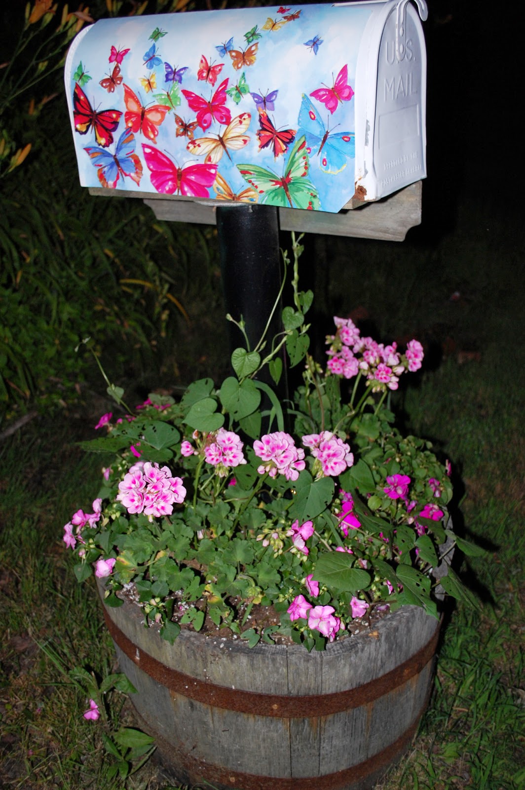 Sprouts: Mailbox Planter Makeover Before and After