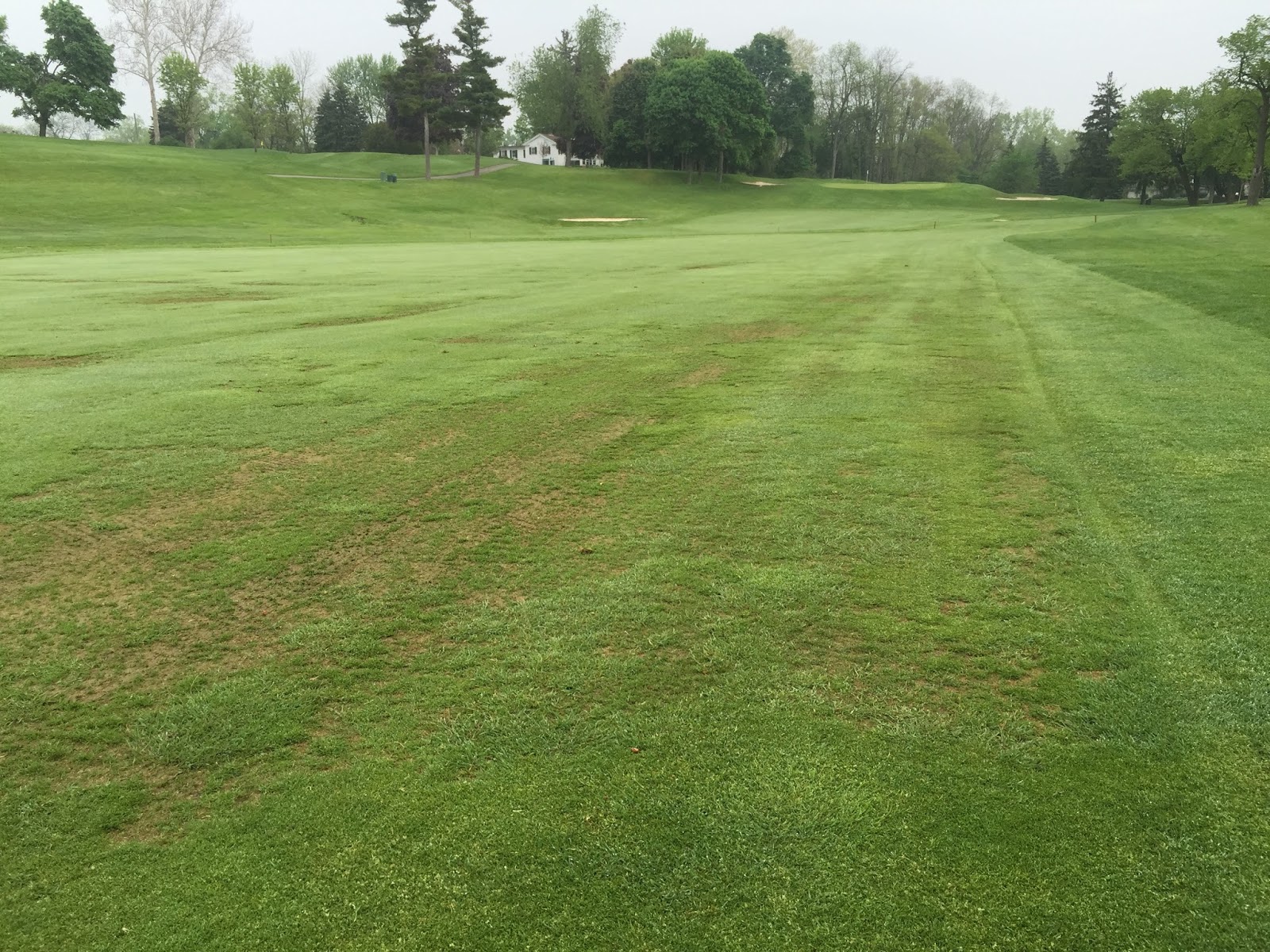 Forest Lake Country Club