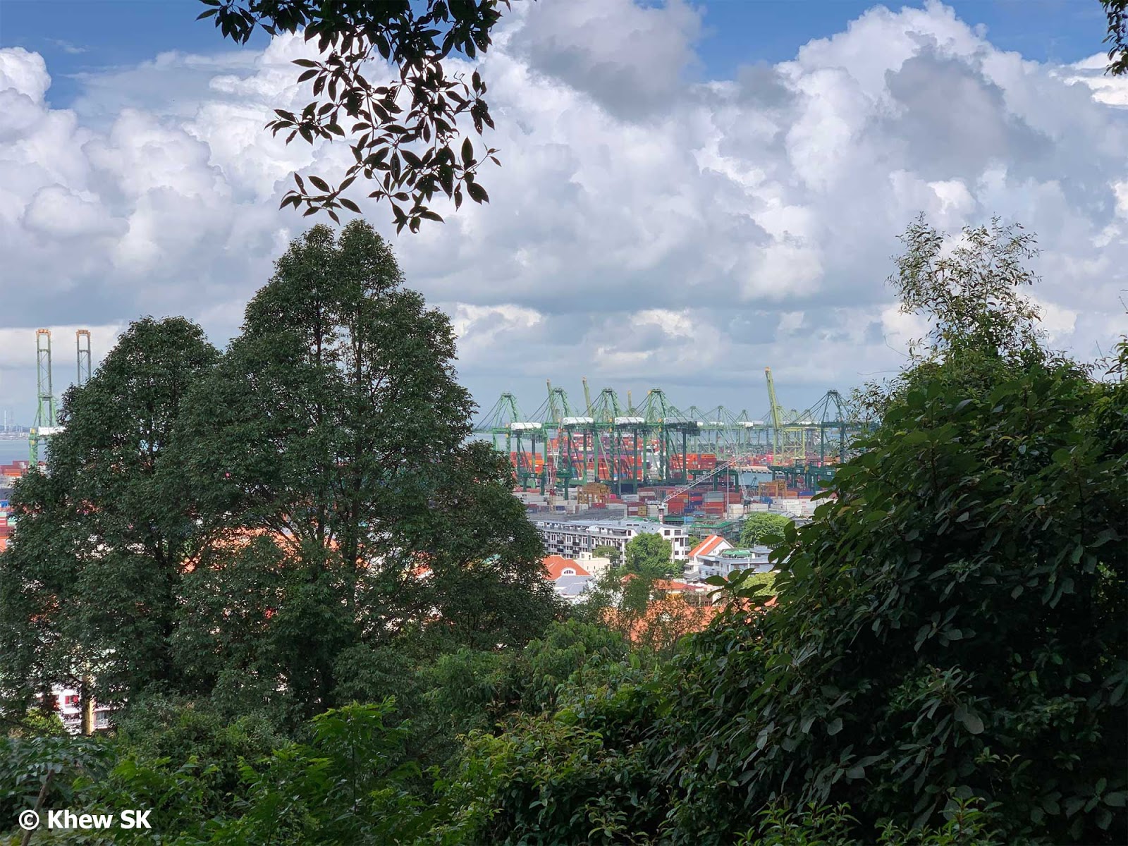 Butterflies of Singapore: Butterfly Photography at Our Local Parks ...
