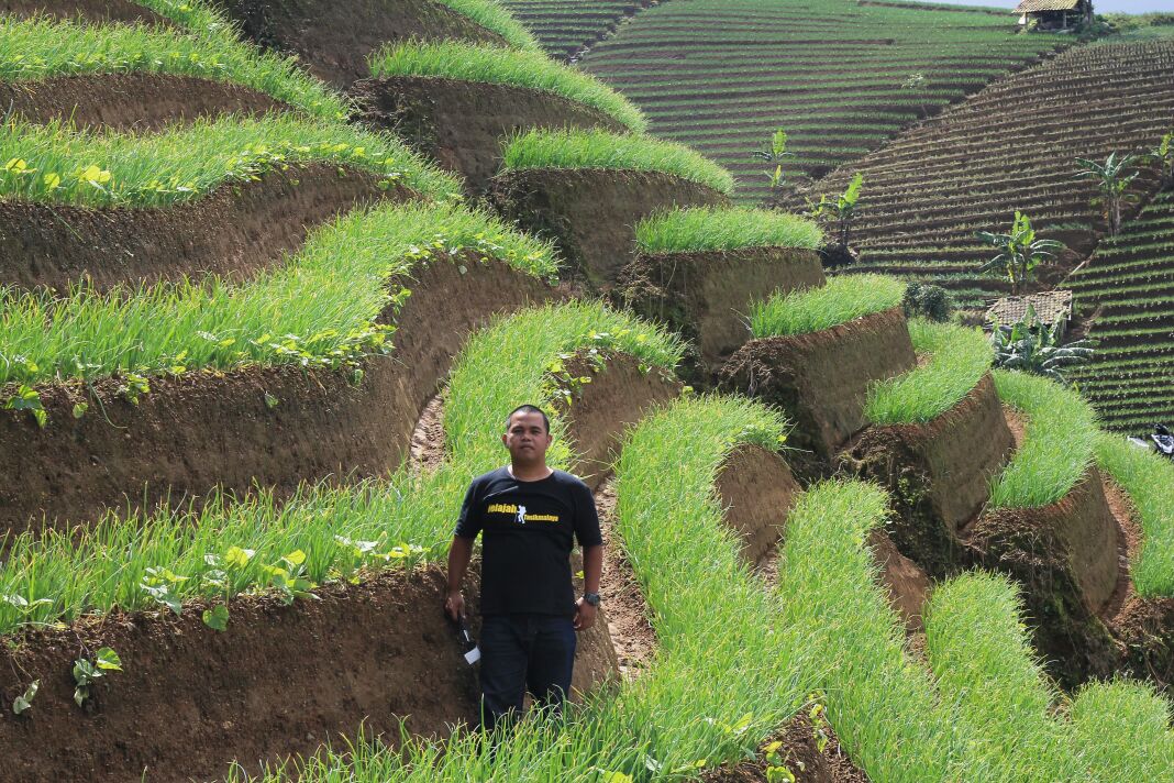 Gunawanmoch Blog: Terasering Argapura Majalengka
