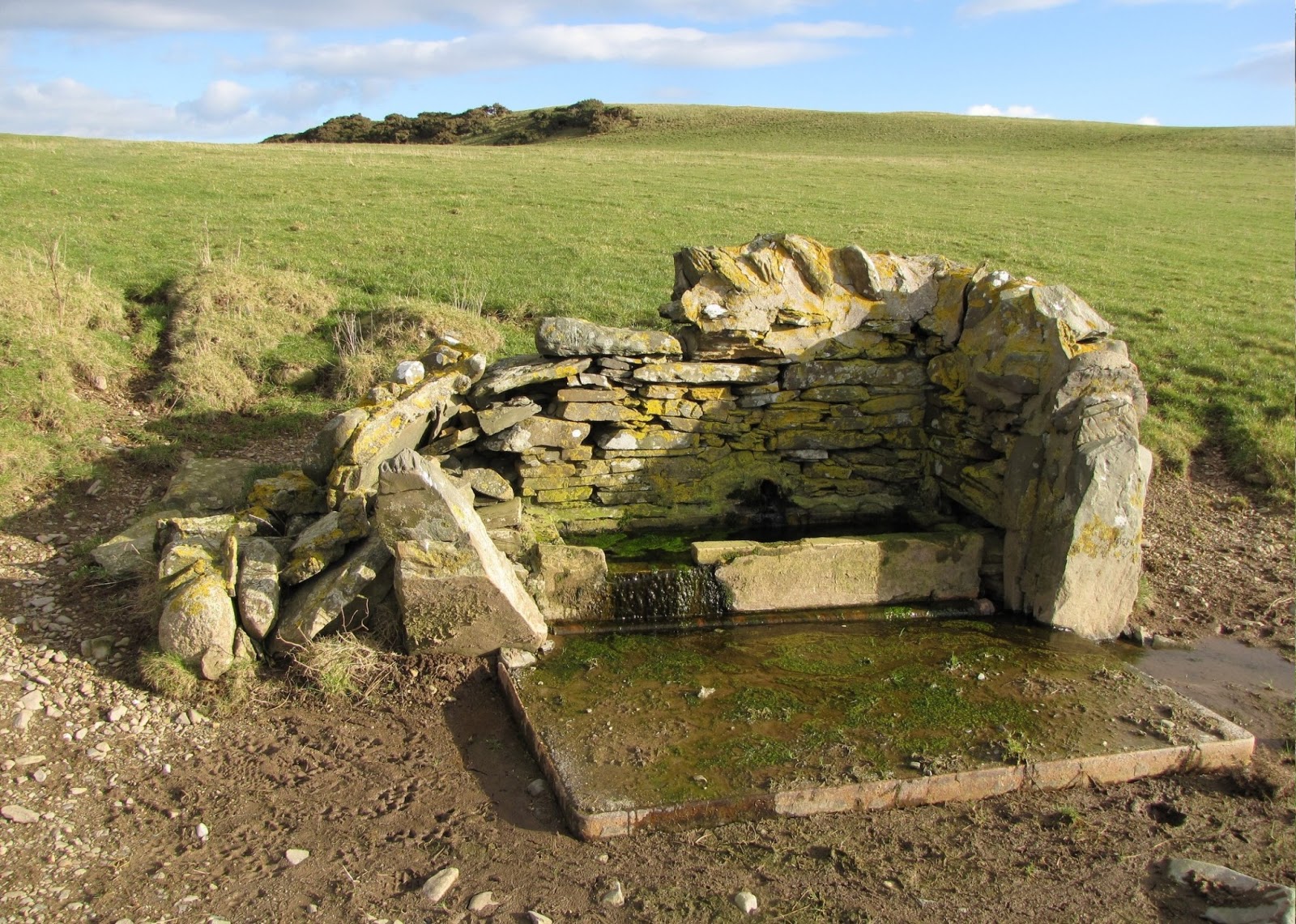The Glebe Blog: Wigtownshire Ramblers Glasserton June 2013