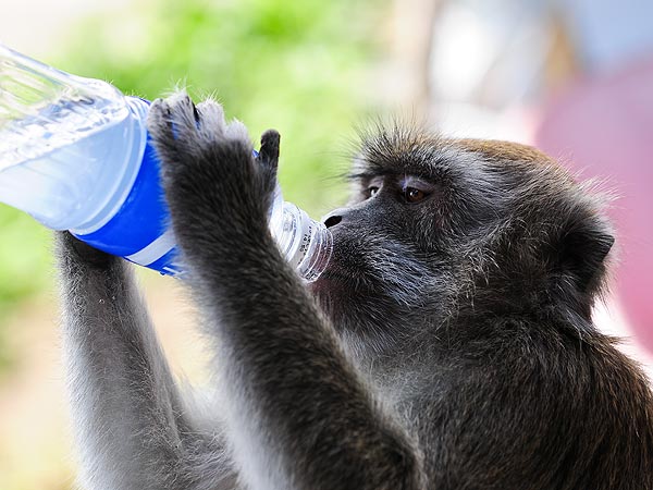 The amazing story of the Flying Electra: The Friday Story