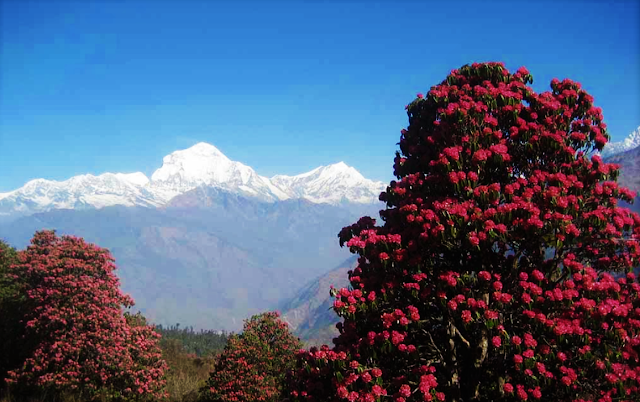 Preâmbulo: Laliguras, Nepal.