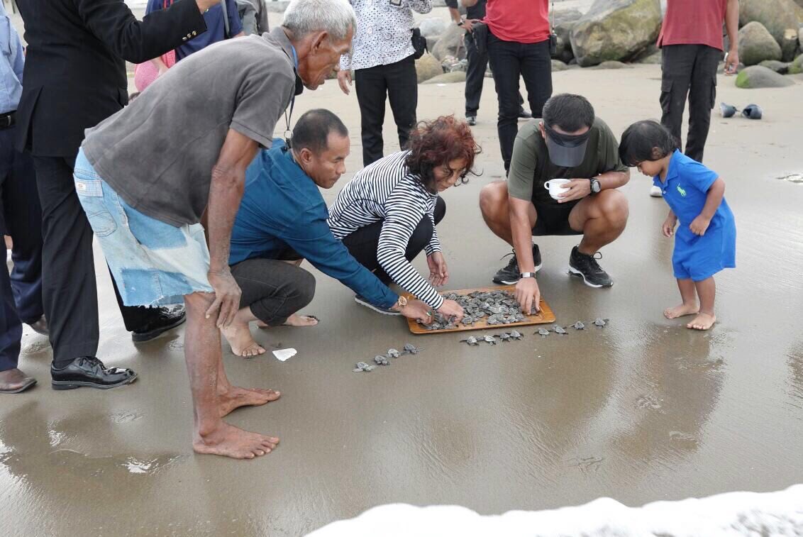 Ibu Susi Pudjiastuti Melepas Tukik di Padang