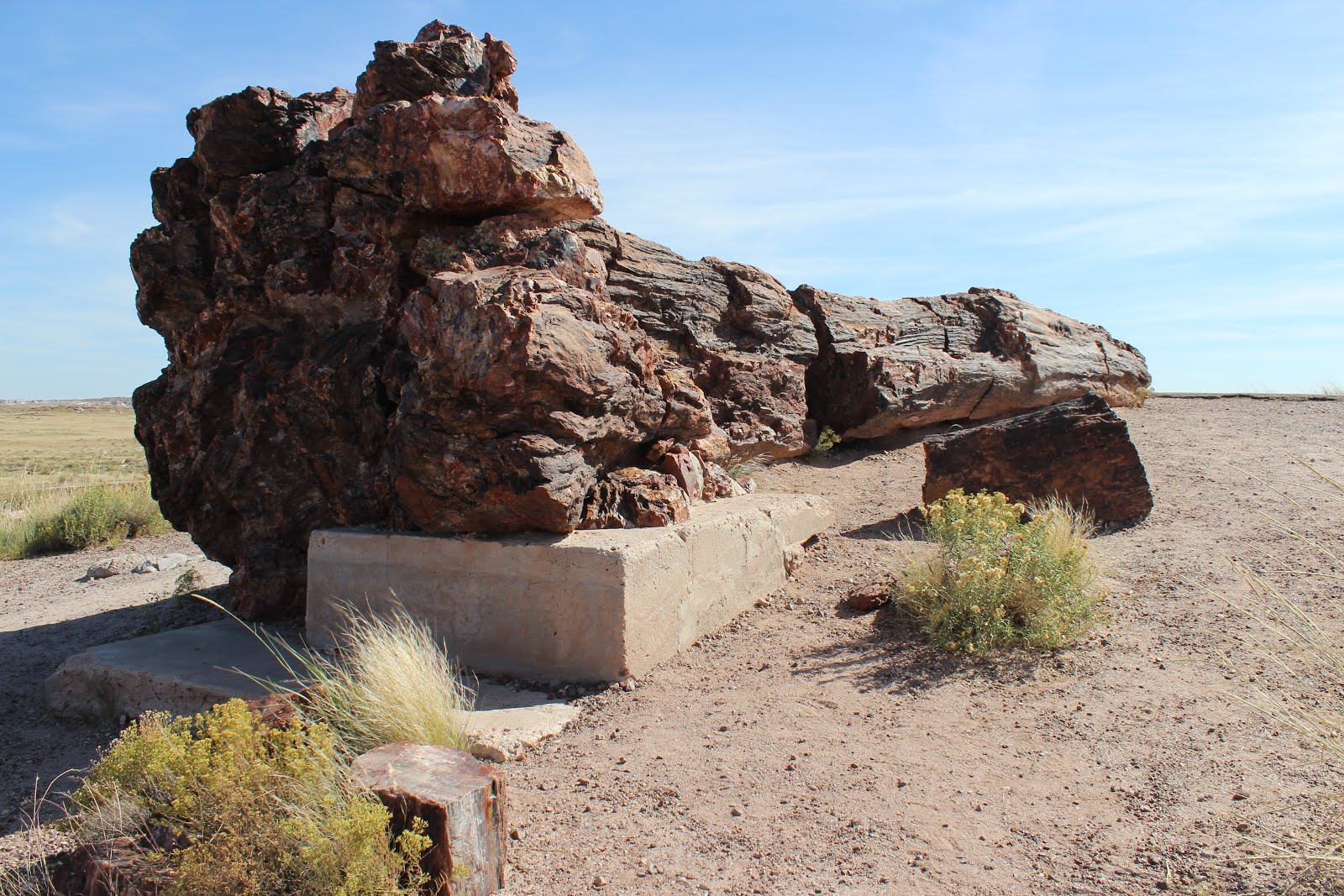 gjhikes.com: Petrified Forest National Park (12)