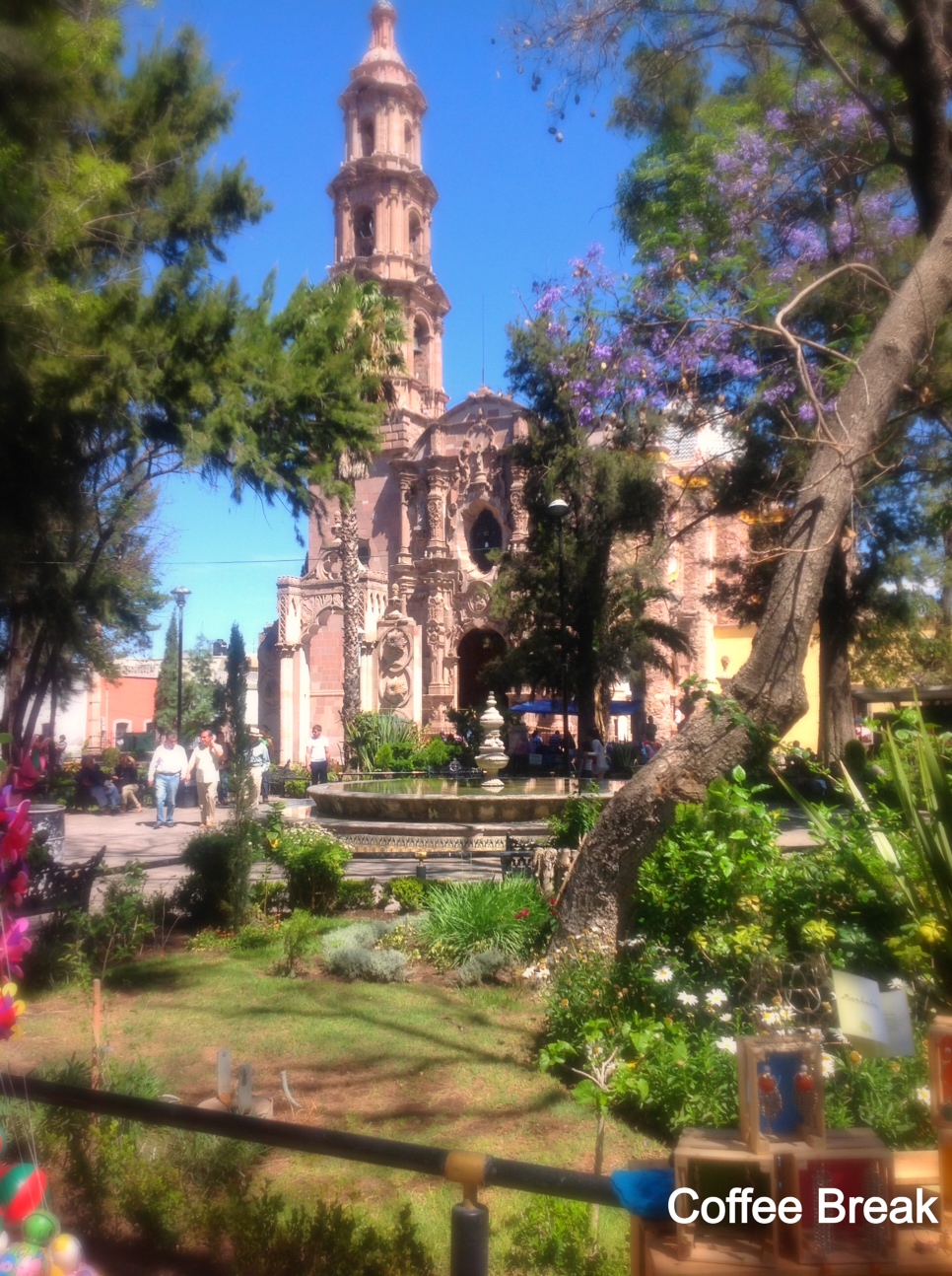 Coffee Break: El Templo del Encino y Alrededores en Aguascalientes