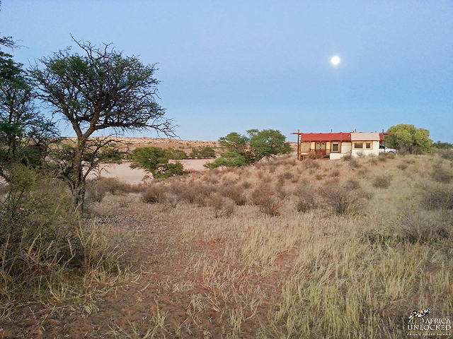 Africa Unlocked - Private Guided Safaris: Southern Kalahari Wildlife ...