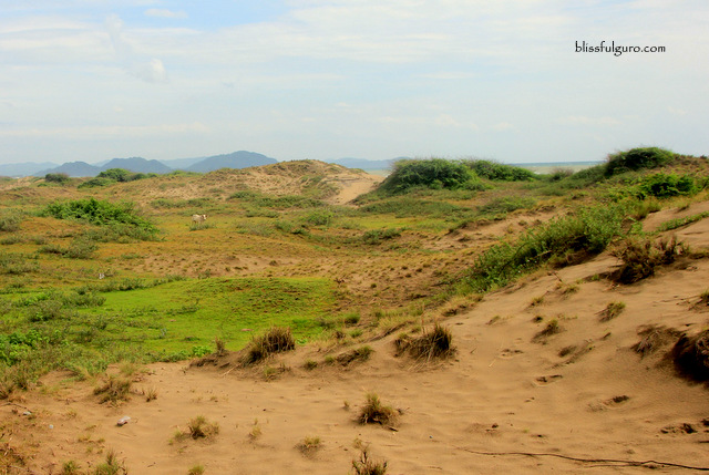 Vigan's Mindoro Beach and Ilocos Sur Side Tripping - blissfulguro
