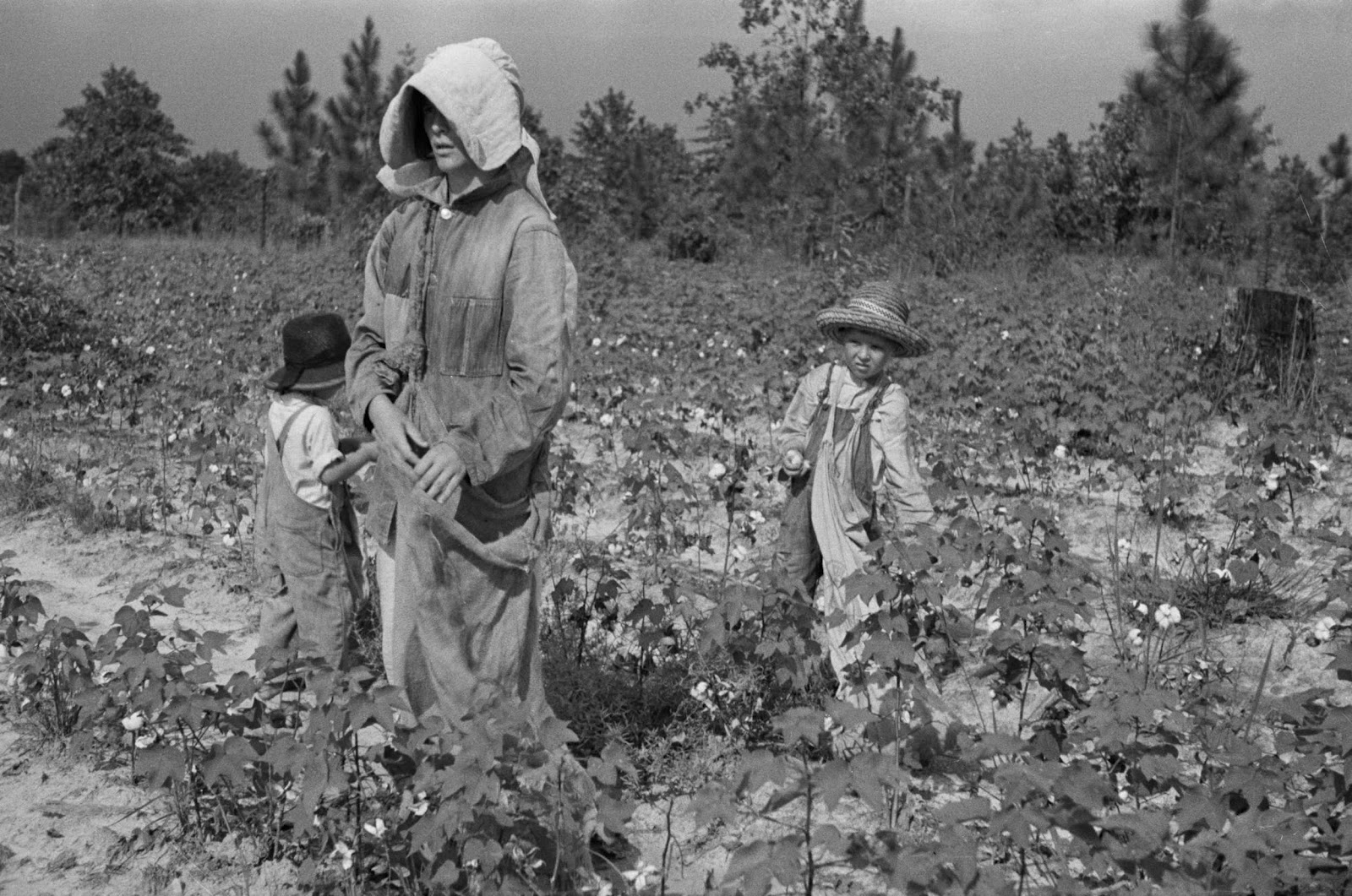 25 Vintage Photographs Capture Daily Life of American Children During ...
