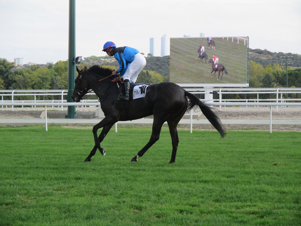 OLJA'S TEAM: FOTOS del Domingo 21 de Octubre