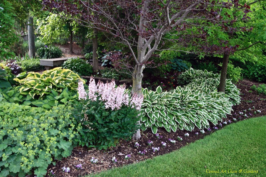 Conrad Art Glass & Gardens: Hostas at Oak Lawn