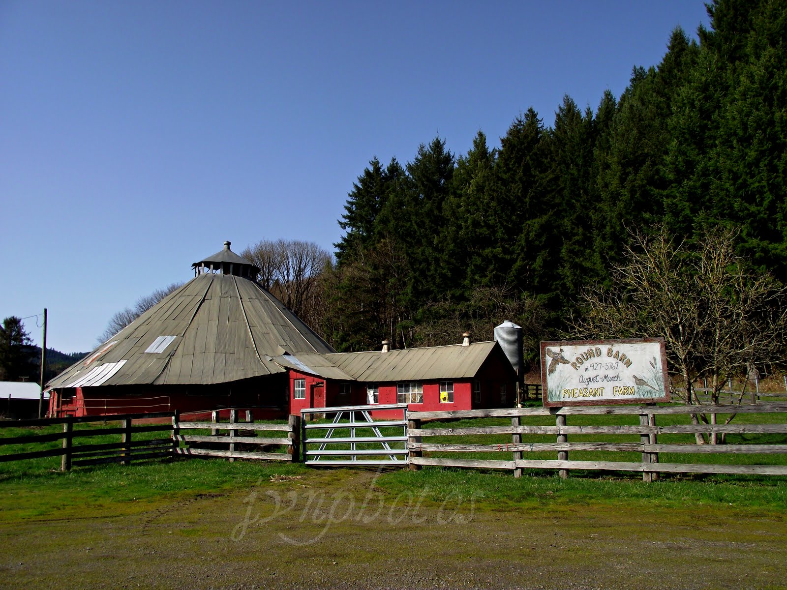 Photos by Jan: Triangle Lake, Oregon and Further Adventures