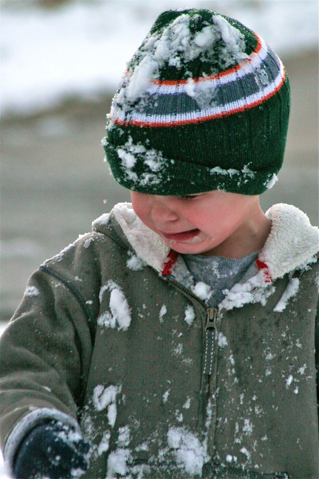 grass stains: Snow day! Well, snow half-hour, after which everyone got ...