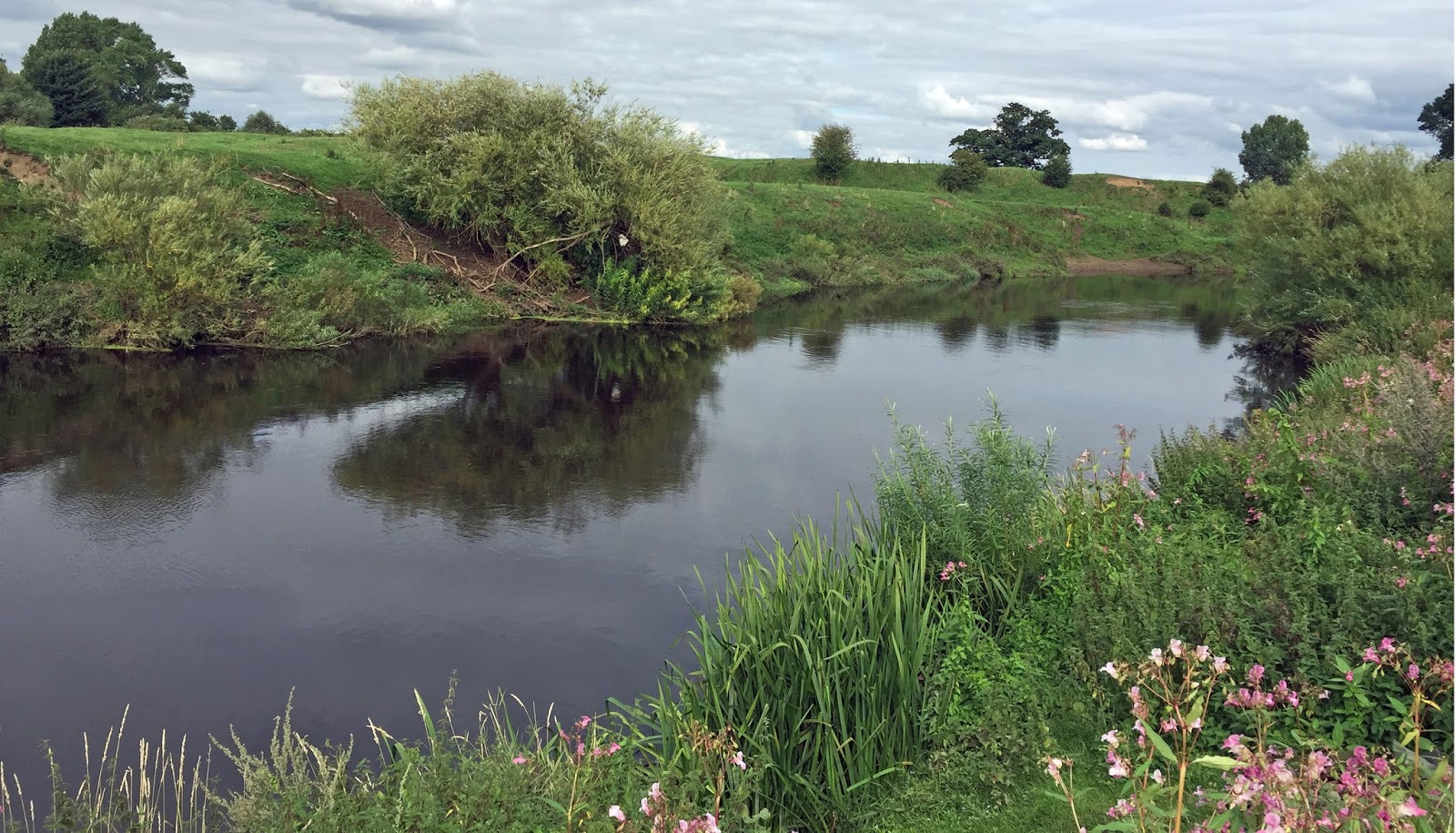 Tim's Riparian Ramblings: A Trip of Firsts – The River Swale