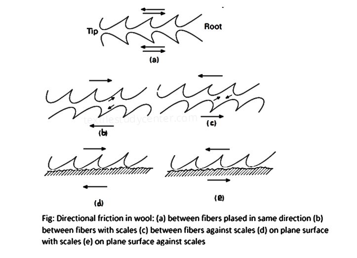 Art Quill Studio: Other FinishesArt ResourceMarie-Therese Wisniowski