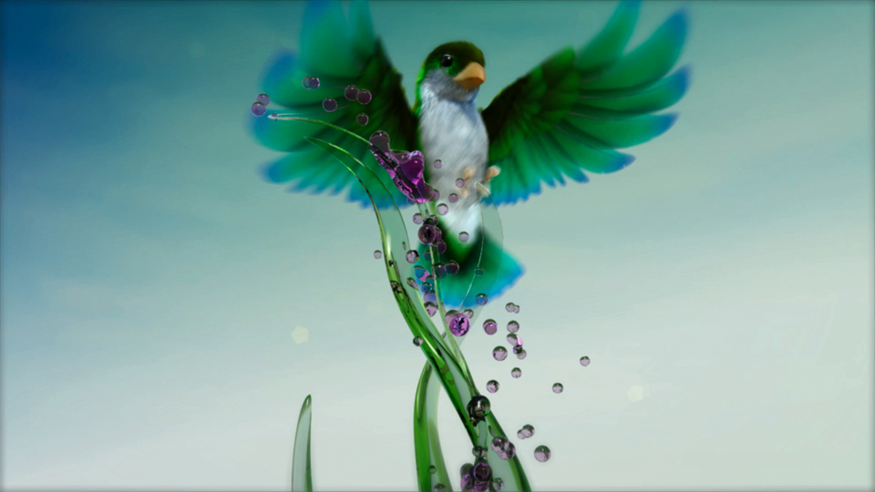 hd animal pictures 2013: Animation Pictures Free