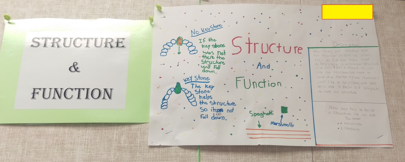 NGSS Crosscutting Concepts Project- Poster & Oral Presentation | Polka ...