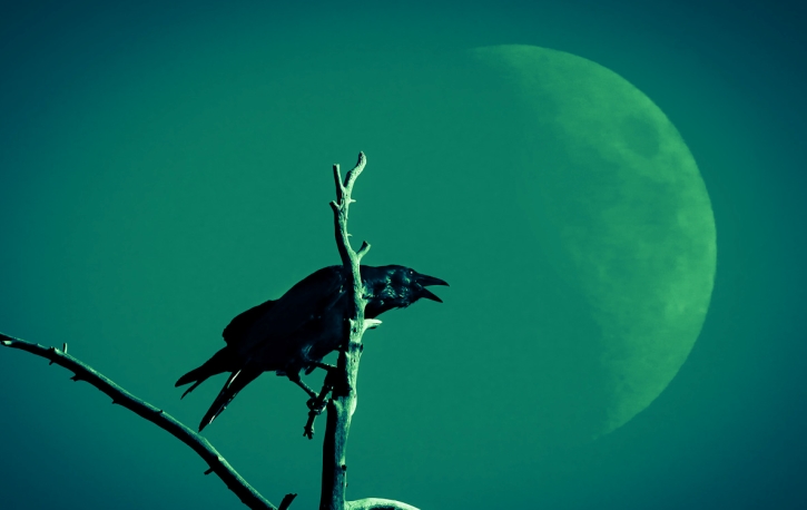White Wolf : Happy Full Crow Moon 2016: What You Need to Know About ...