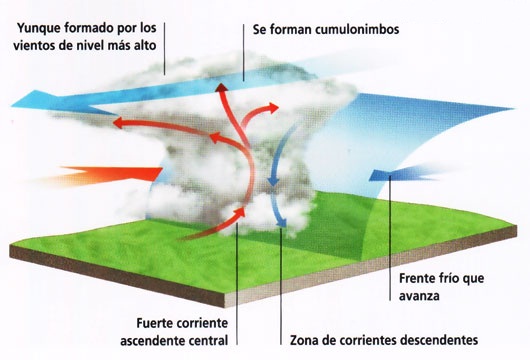 Agata Bravo #4: FORMACIÓN DE LOS VIENTOS