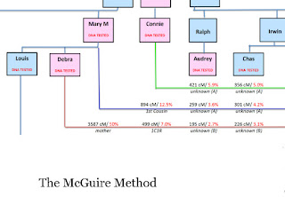 Deb's Delvings in Genealogy: Wanted: Genetic Genealogy Analysis Tools ...