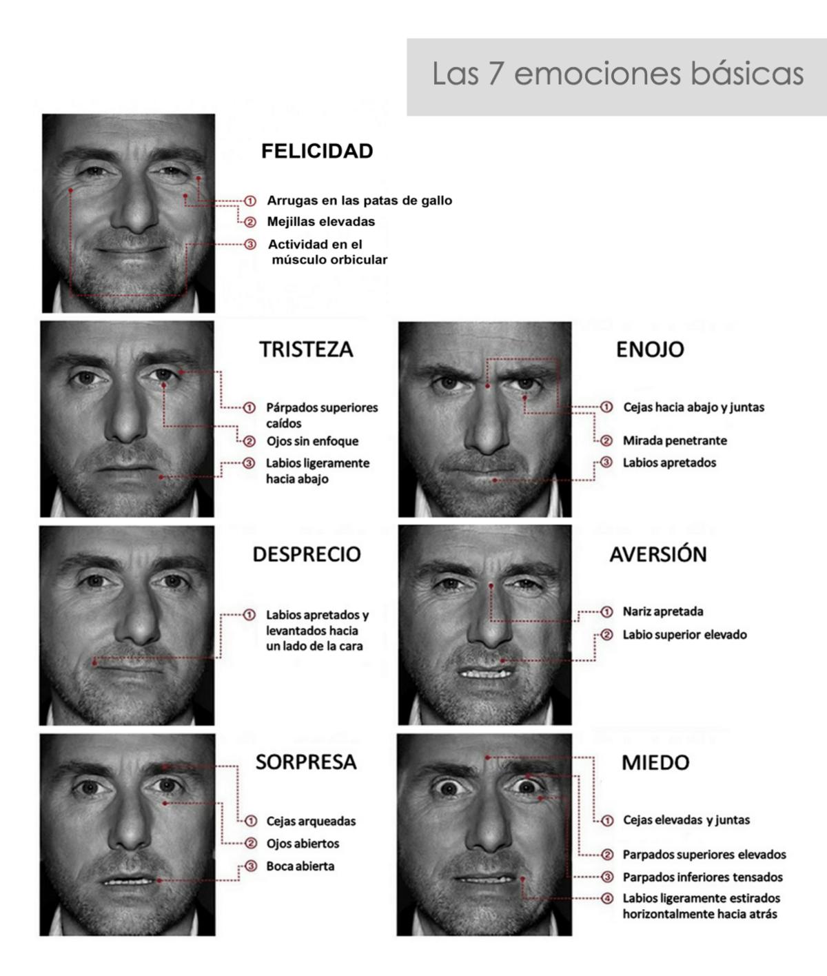 Técnicas de neuromarketing (VI): emotional facial coding - Brain and ...