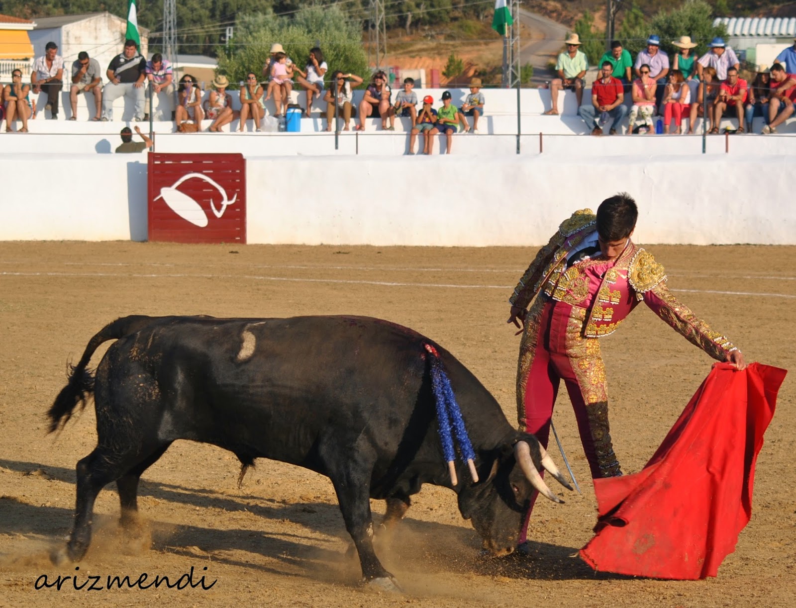 Lascosasdeltoro: Daniel Crespo, La Proyección de un Torero.