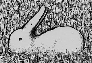 Ilusionario: La ilusión del pato y del conejo