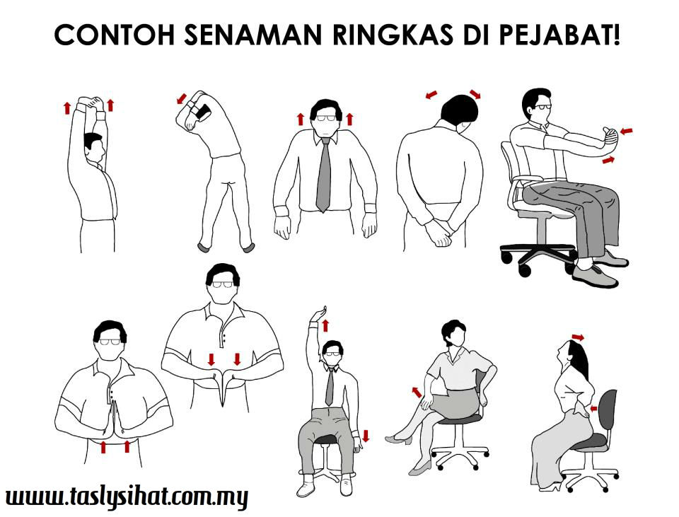 Inilah Cara Legakan Sakit Belakang Anda! | Tasly Danshen Plus Lulus KKM ...