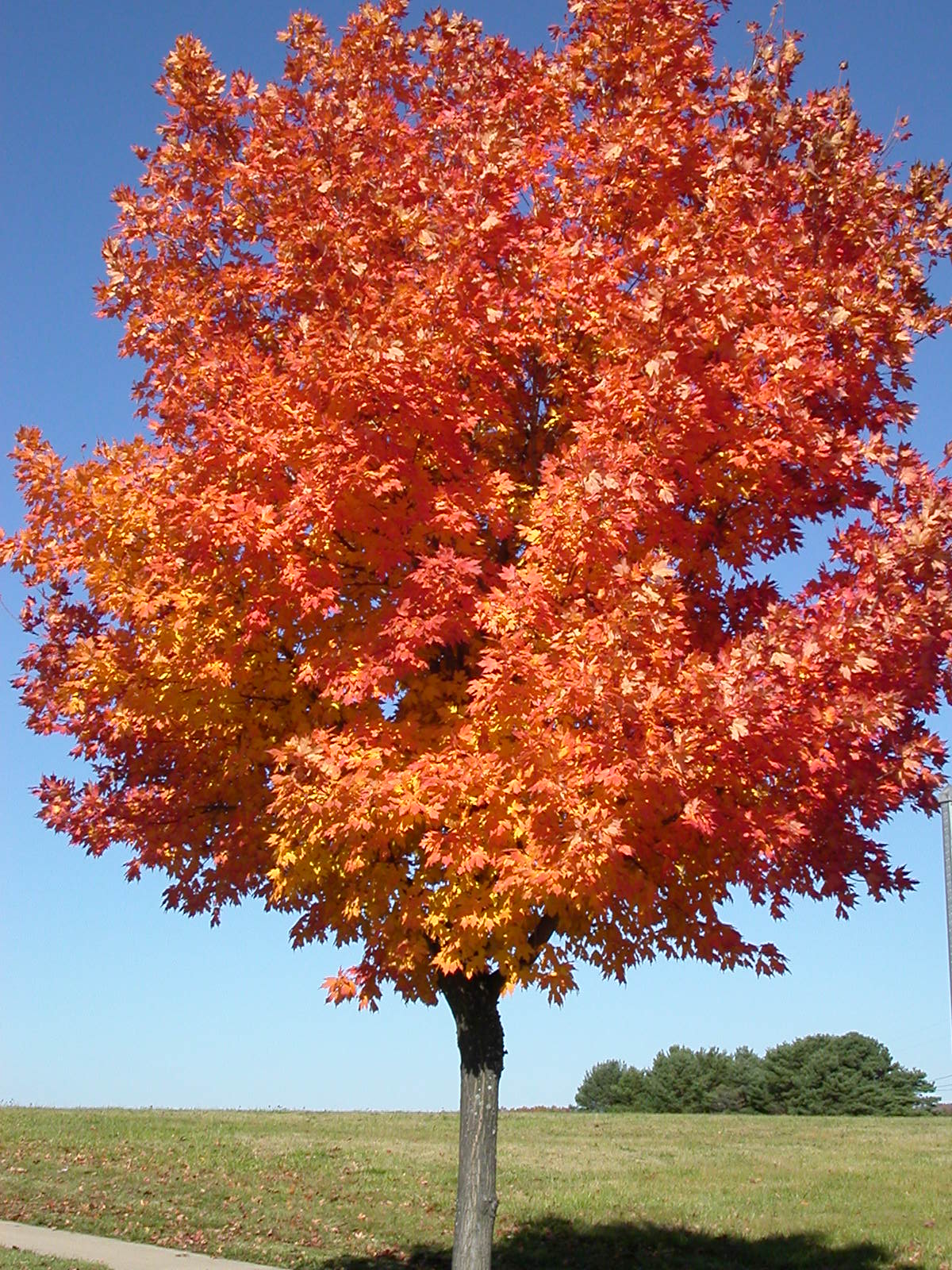 The Vantage Point: 2012