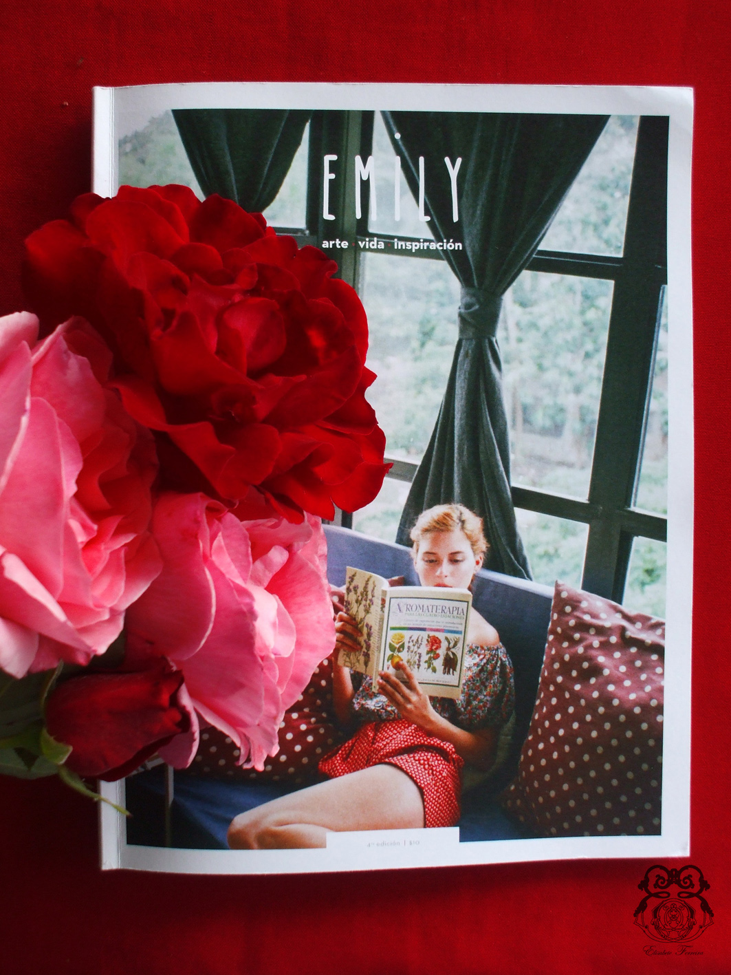 Borboleta Despenteada: Revista EMILY, 4ª Edição | La Revista EMILY, 4ª ...