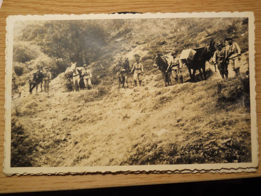 WW2 Militaria Collection: Italian ww2 Alpini soldiers 7x photographs ...
