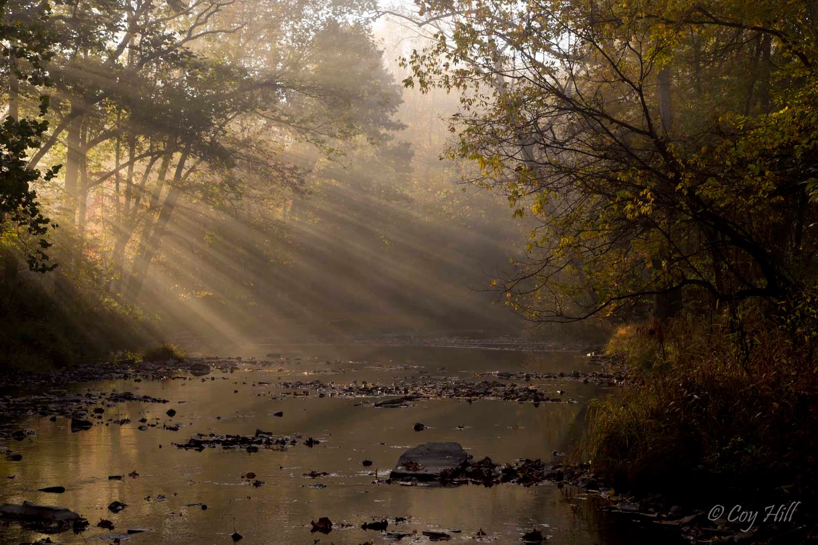 Country Captures: Autumn Splendor in an Ugly Land