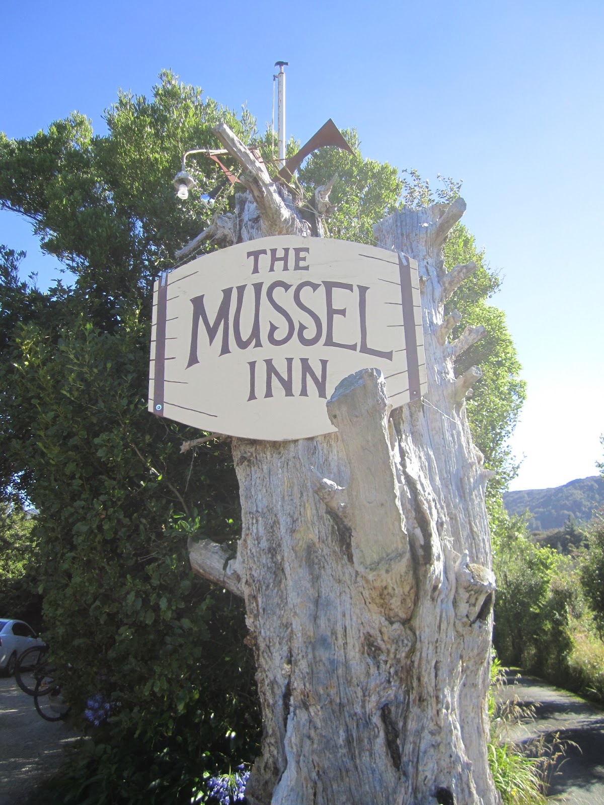 hoplog: West Coast, South Island, NZ