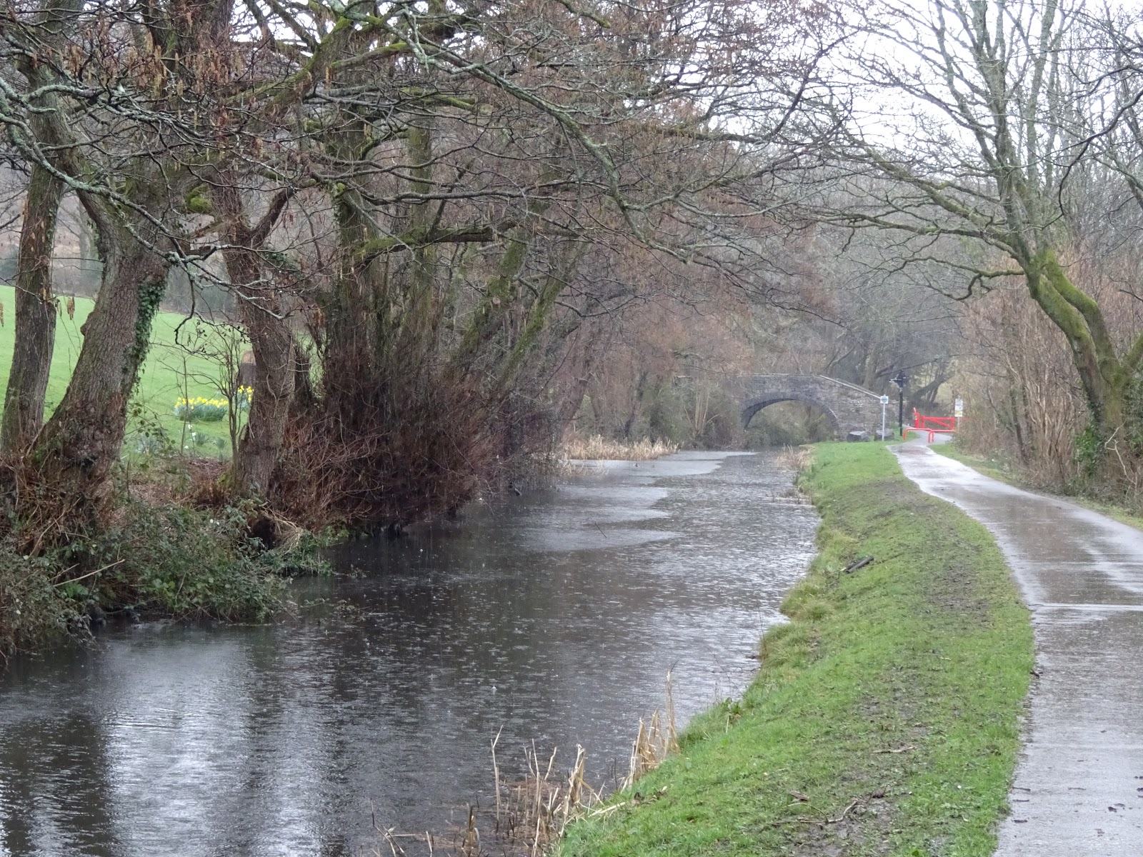 Sirhowy Valley Walk: Raven Walk, Cwmcarn