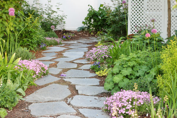 VW Garden: Adding Chartreuse to the Garden