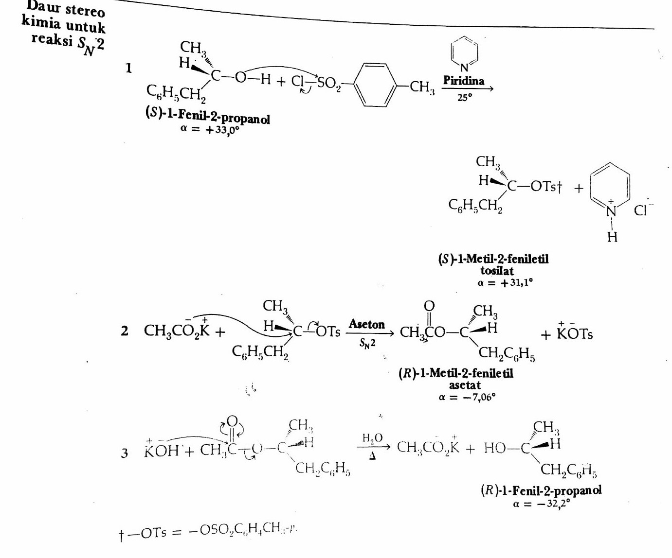 Reaksi Substitusi | CHEMISTEF~