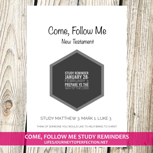 Life's Journey To Perfection: February 2019 Come, Follow Me Sunday ...