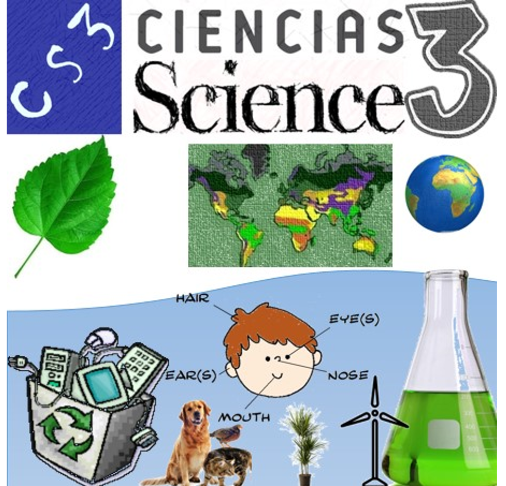 ciencia science 3: Landscapes. Fichas de ampliación.