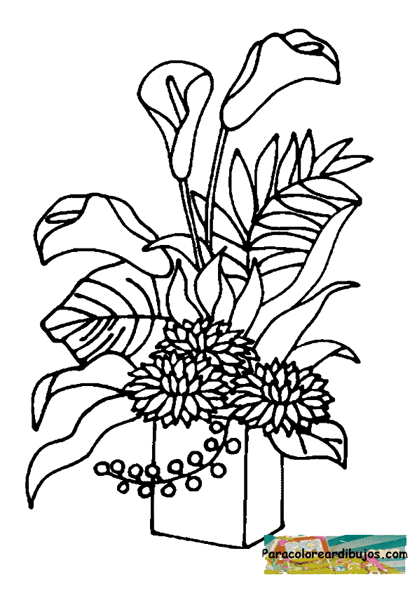Alcatraz Coloring Pages