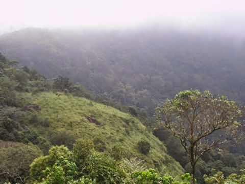 AMBOORI SIMPLY AMAIZING: 2015