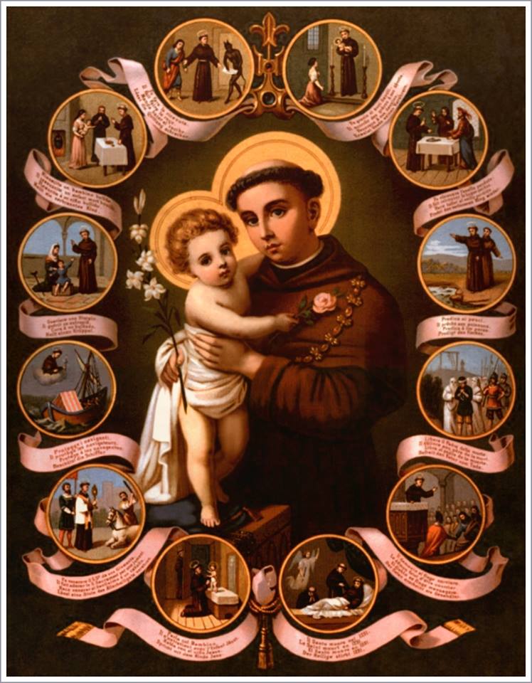 A Catholic Life: St. Anthony of Padua