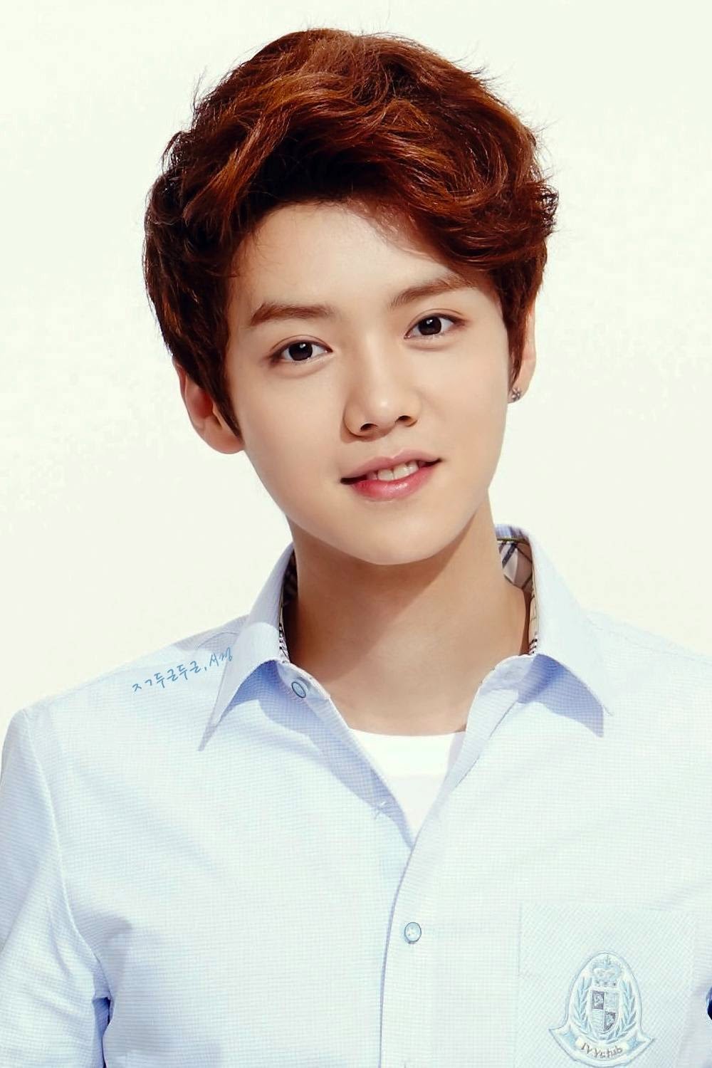 EXO WE ARE ONE : Profil Luhan EXO