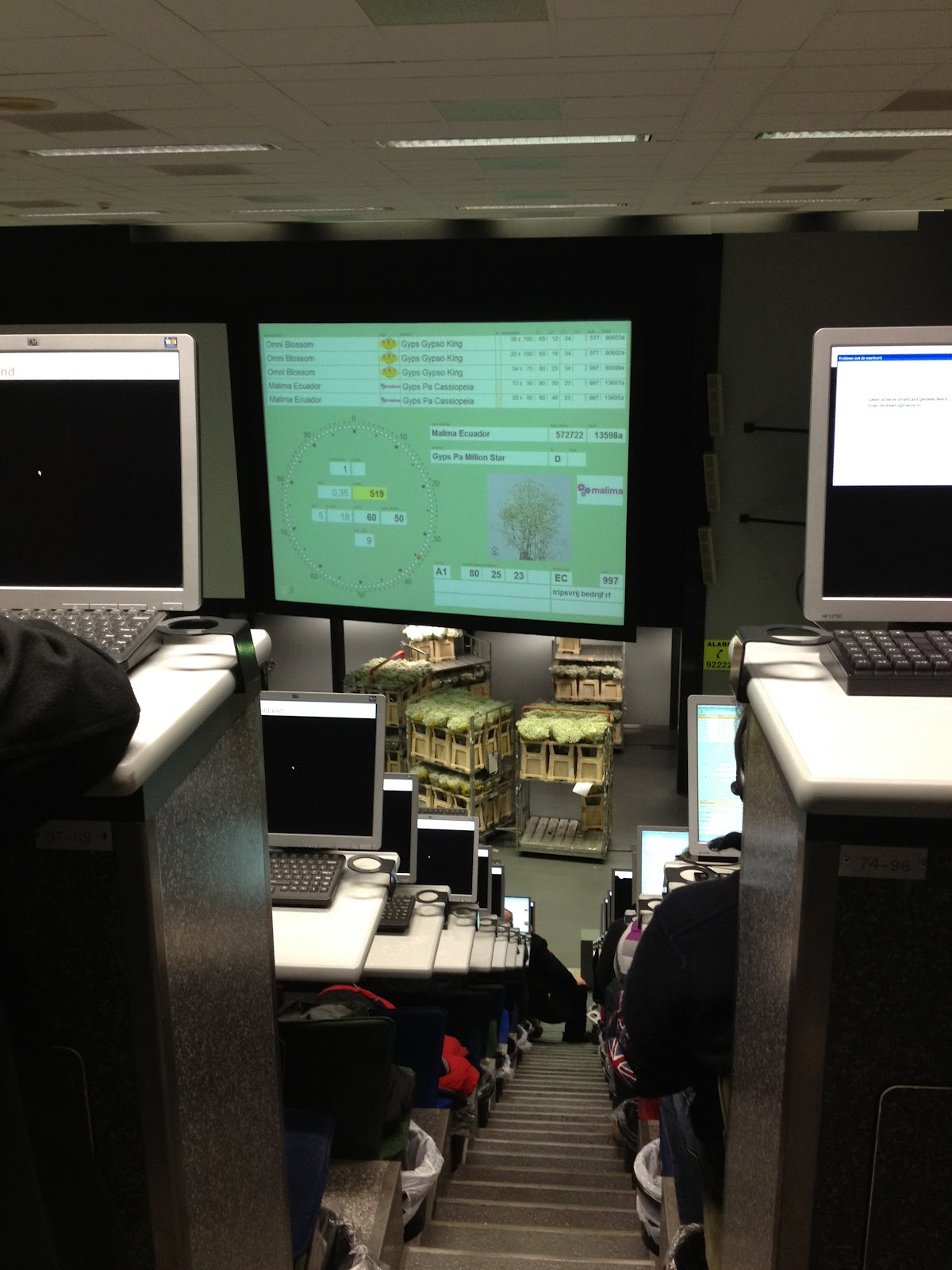 Design Creativity Revealed: Visiting the Dutch Flower Auction