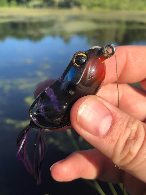 Bass Junkies Frog Pond: Jackall Kaera Frog Review