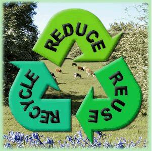 The environmentalist: Reduce Reuse Recycle