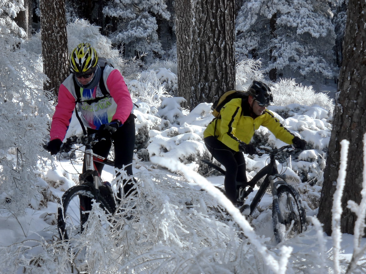 El Sherpa Loco: Más fresquitos que Walt Disney