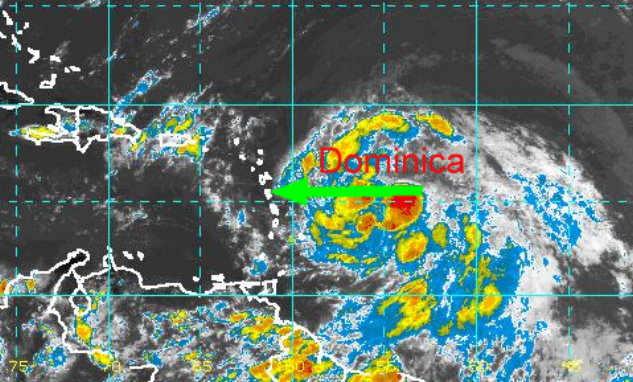 Forever Zechariah Maxime {BLOG}